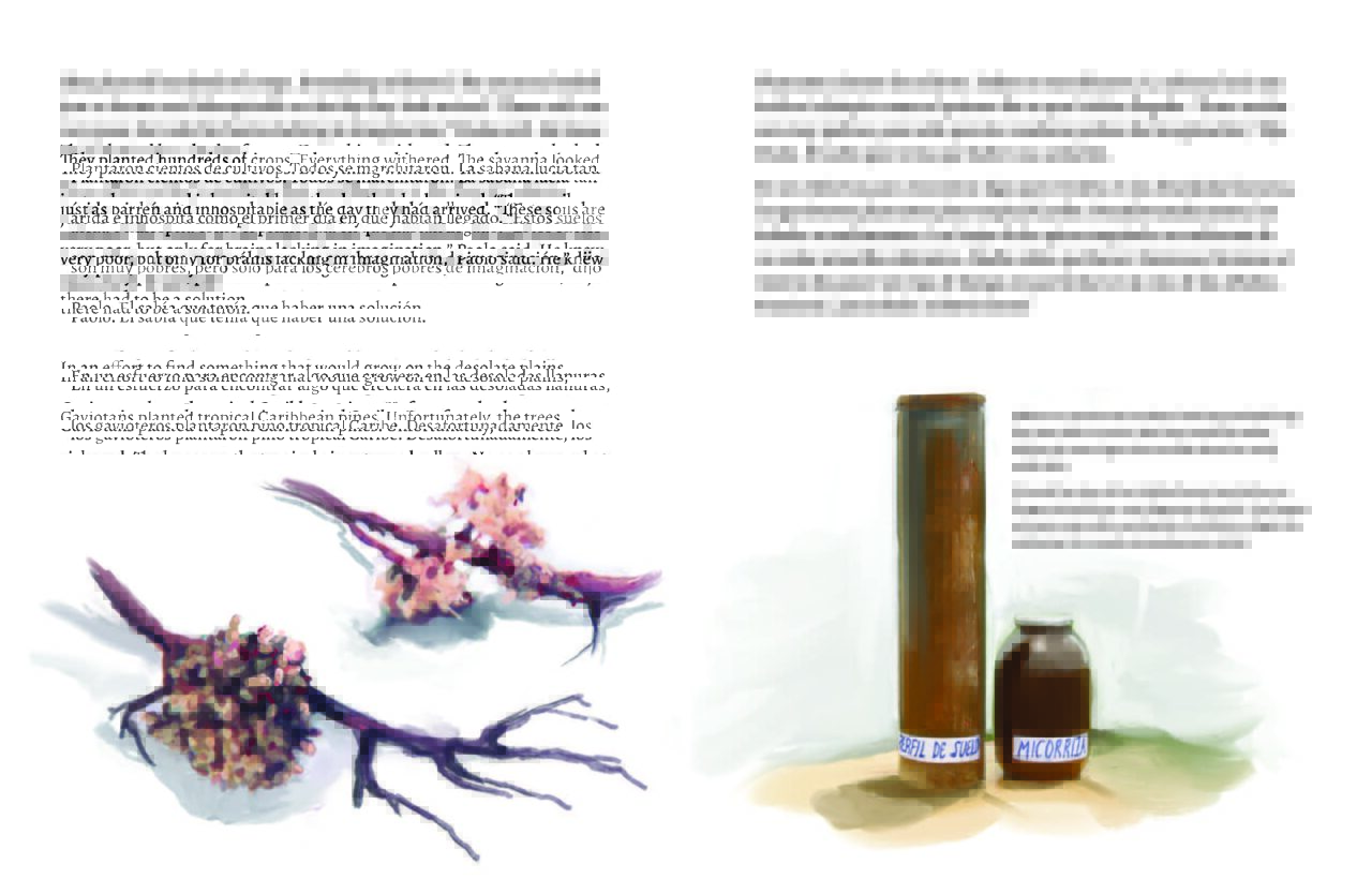 Miracle Forest: A True Story | 12 Willows Press